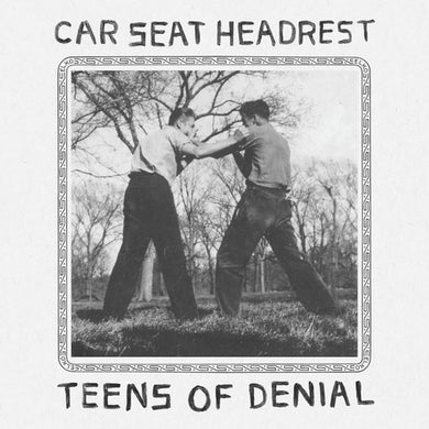 CAR SEAT HEADREST 'TEENS OF DENIAL' 2LP